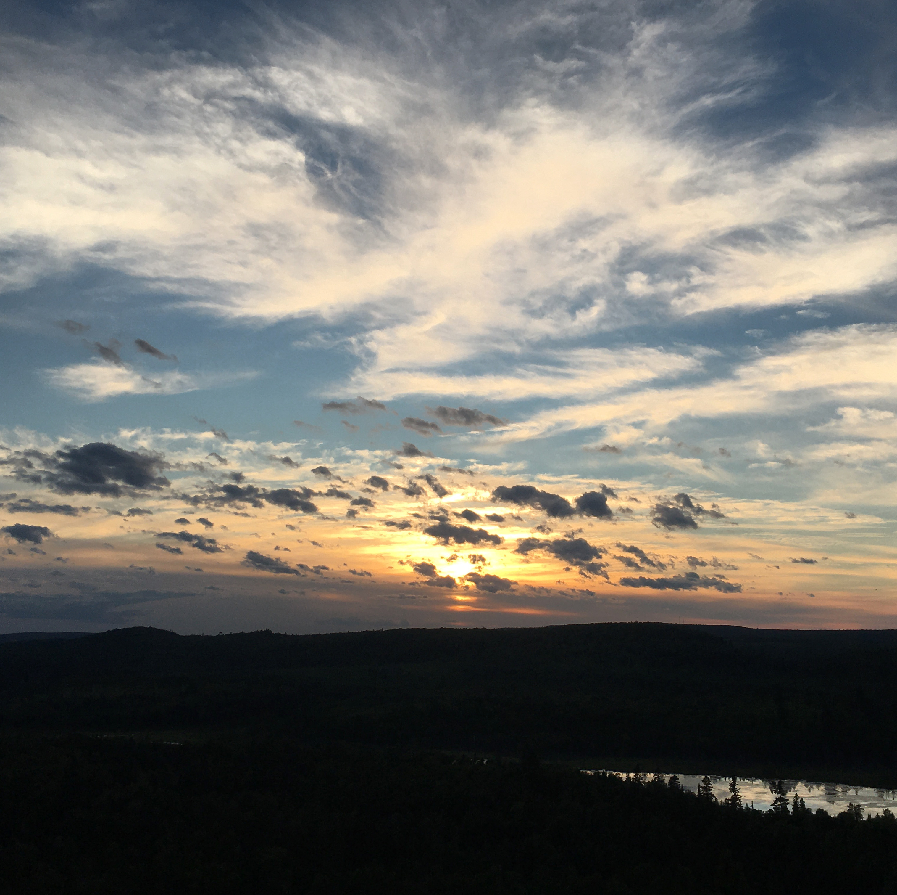 Nature Notes – Exploring Edges