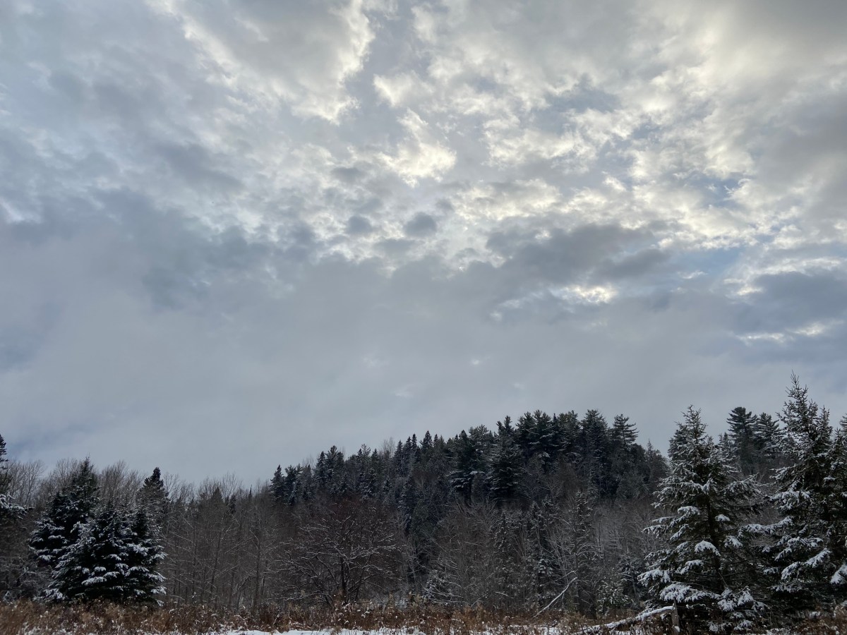 Gratitude and Solitude – Exploring Edges