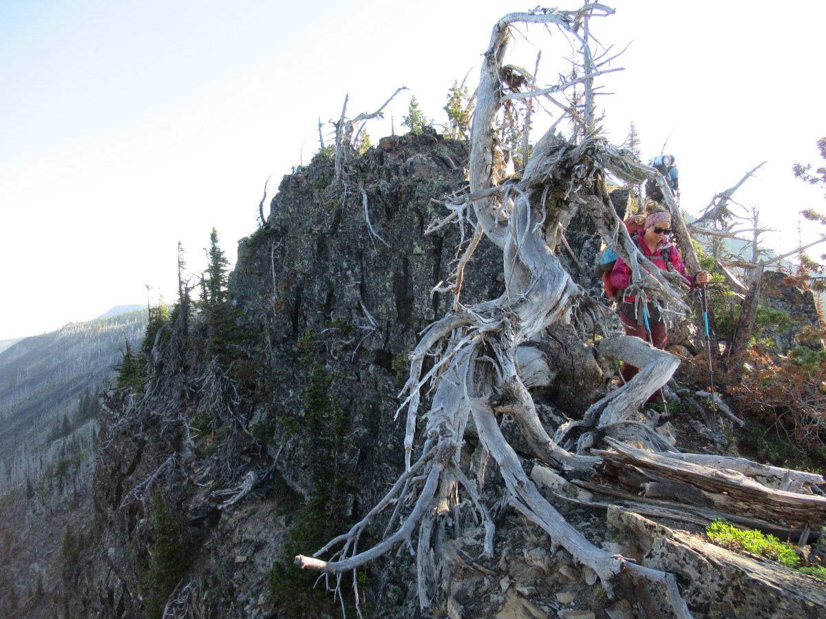 Preparing for Adventures – Exploring Edges